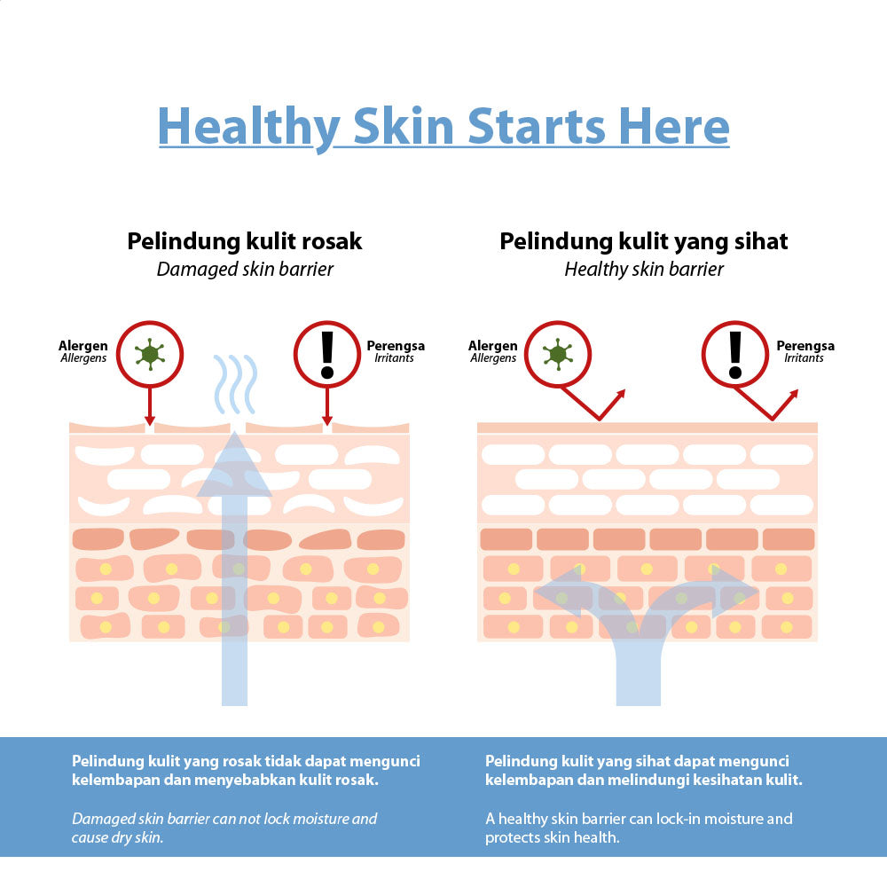 InstaDERMA Full Set | dmessentials